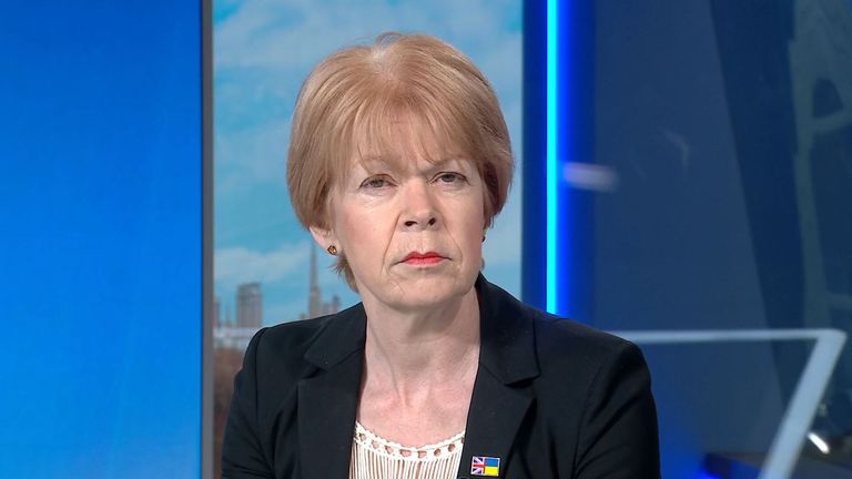 UK's ambassador to Washington 'should reflect' after 'strange' comments ...