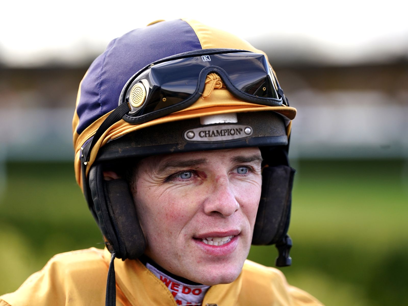 Race horse Celebre d'Allen dies after collapsing during Grand National ...