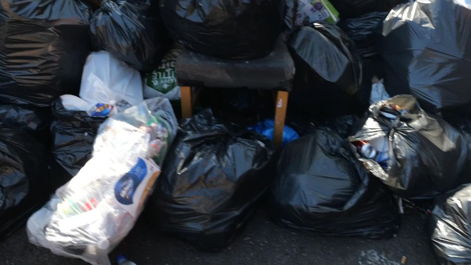 Birmingham bin strike: Pest controllers 'feel like fourth emergency ...