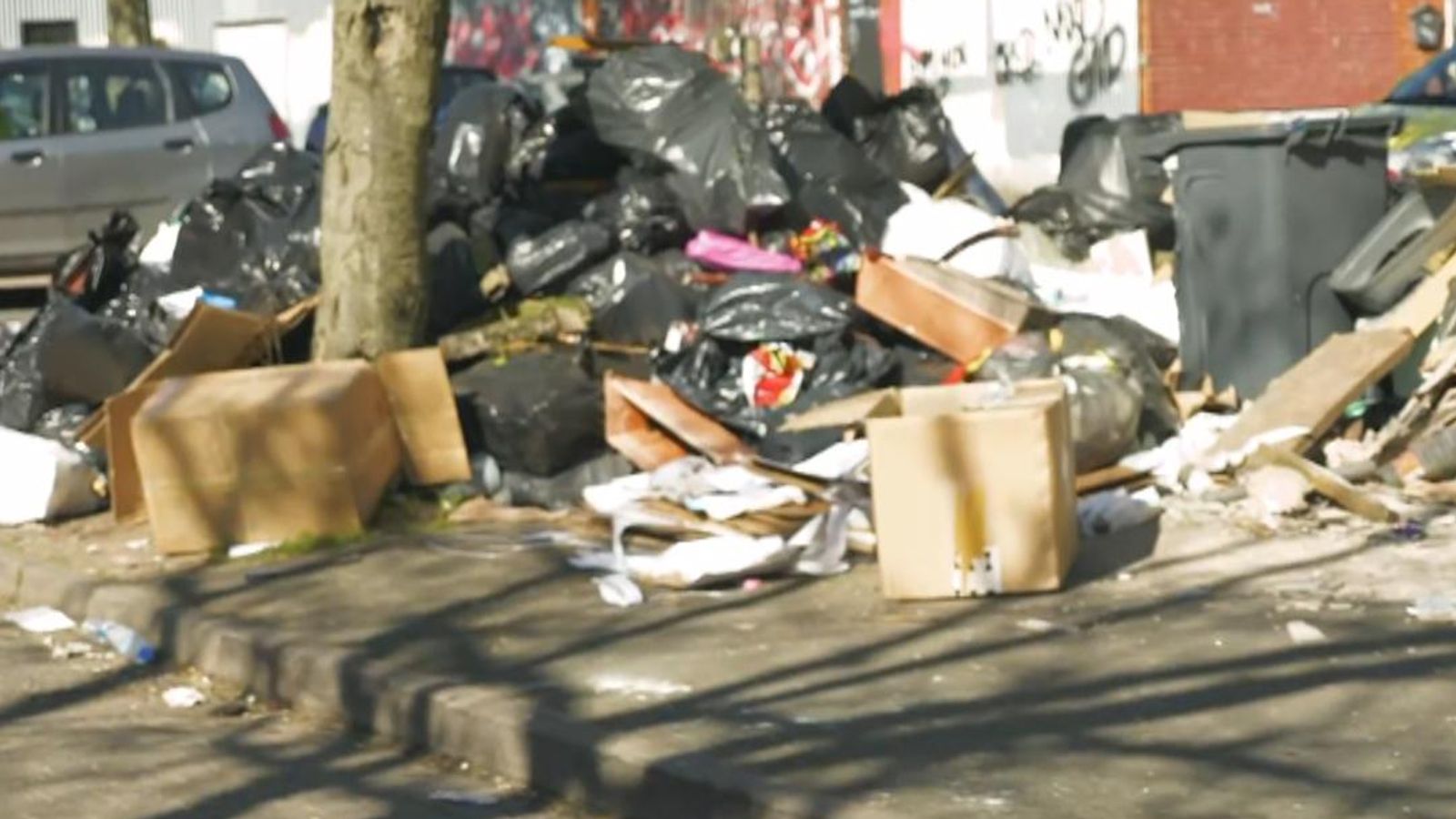 Mounds of uncollected rubbish in Birmingham are 'a dream for rats' | UK ...