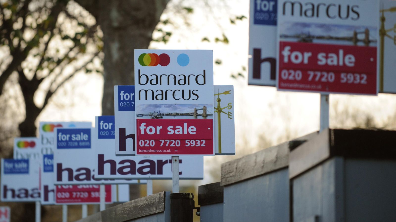 Money: Major interest rate cut boost - despite big caveat to UK ...