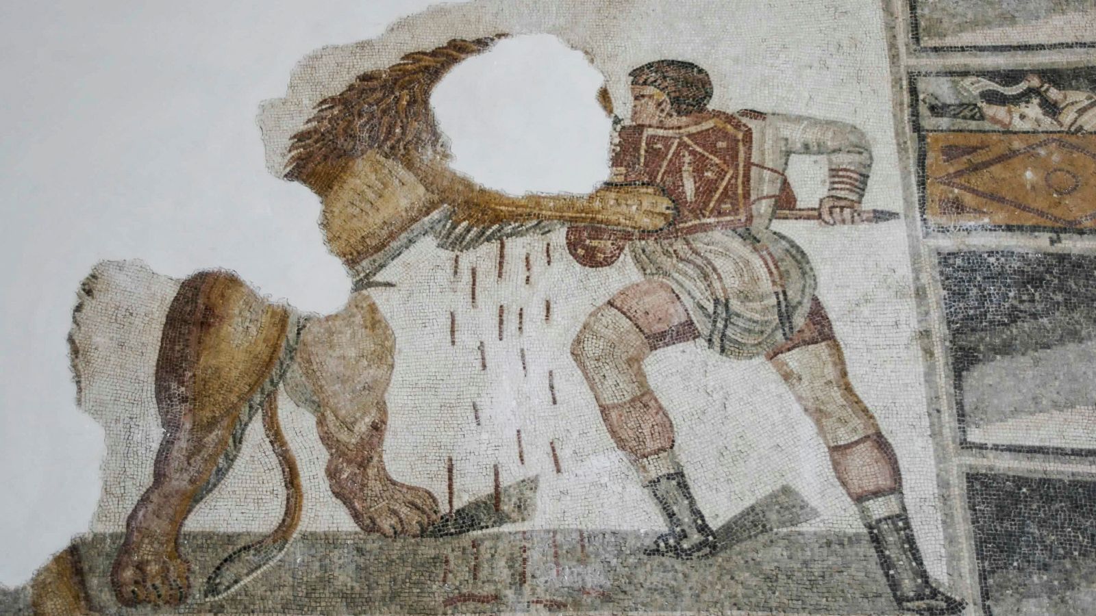 Bite marks found on Roman skeleton prove gladiators fought lions ...