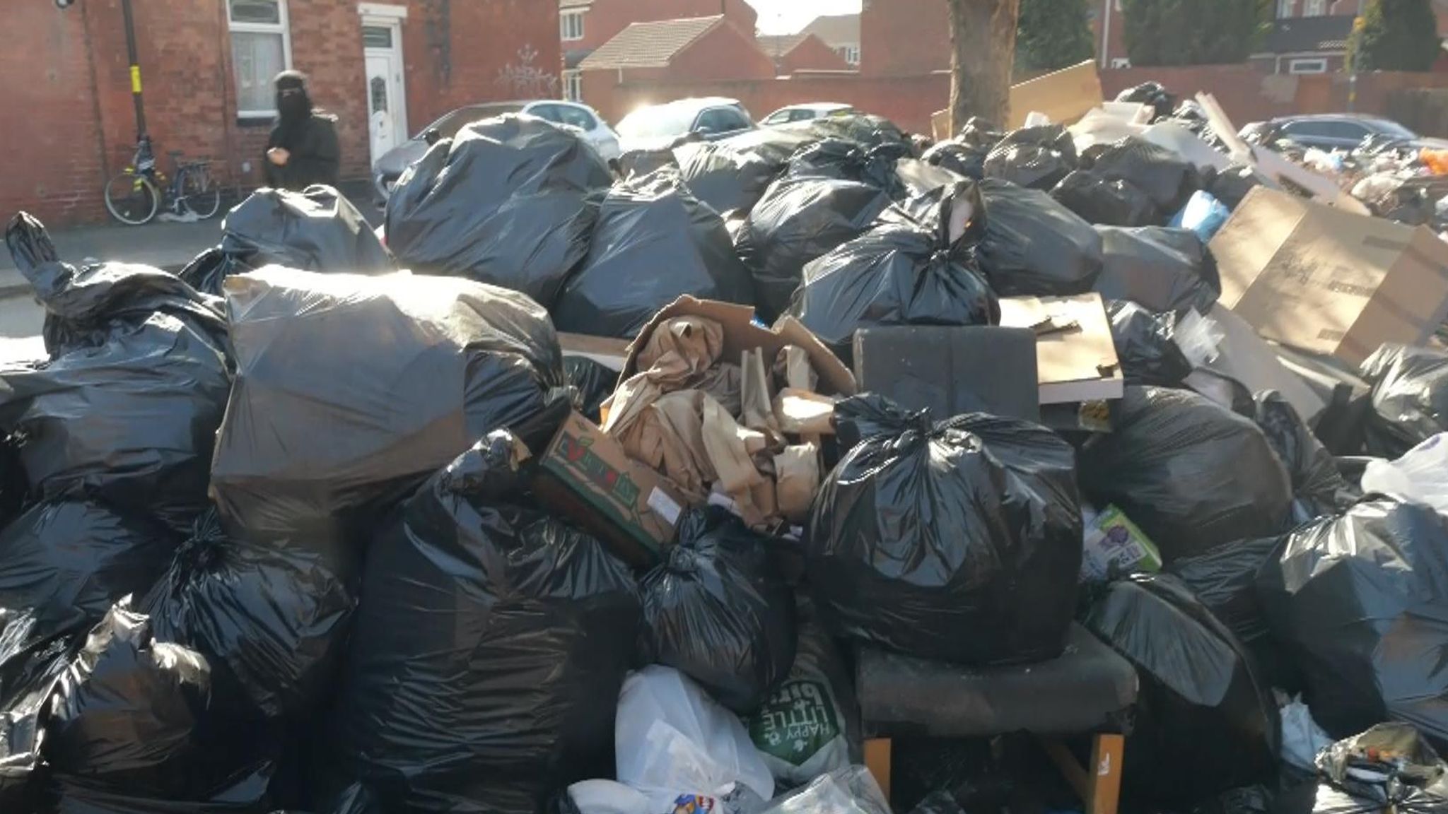 Spending a night hunting the rats running riot amid Birmingham bin ...