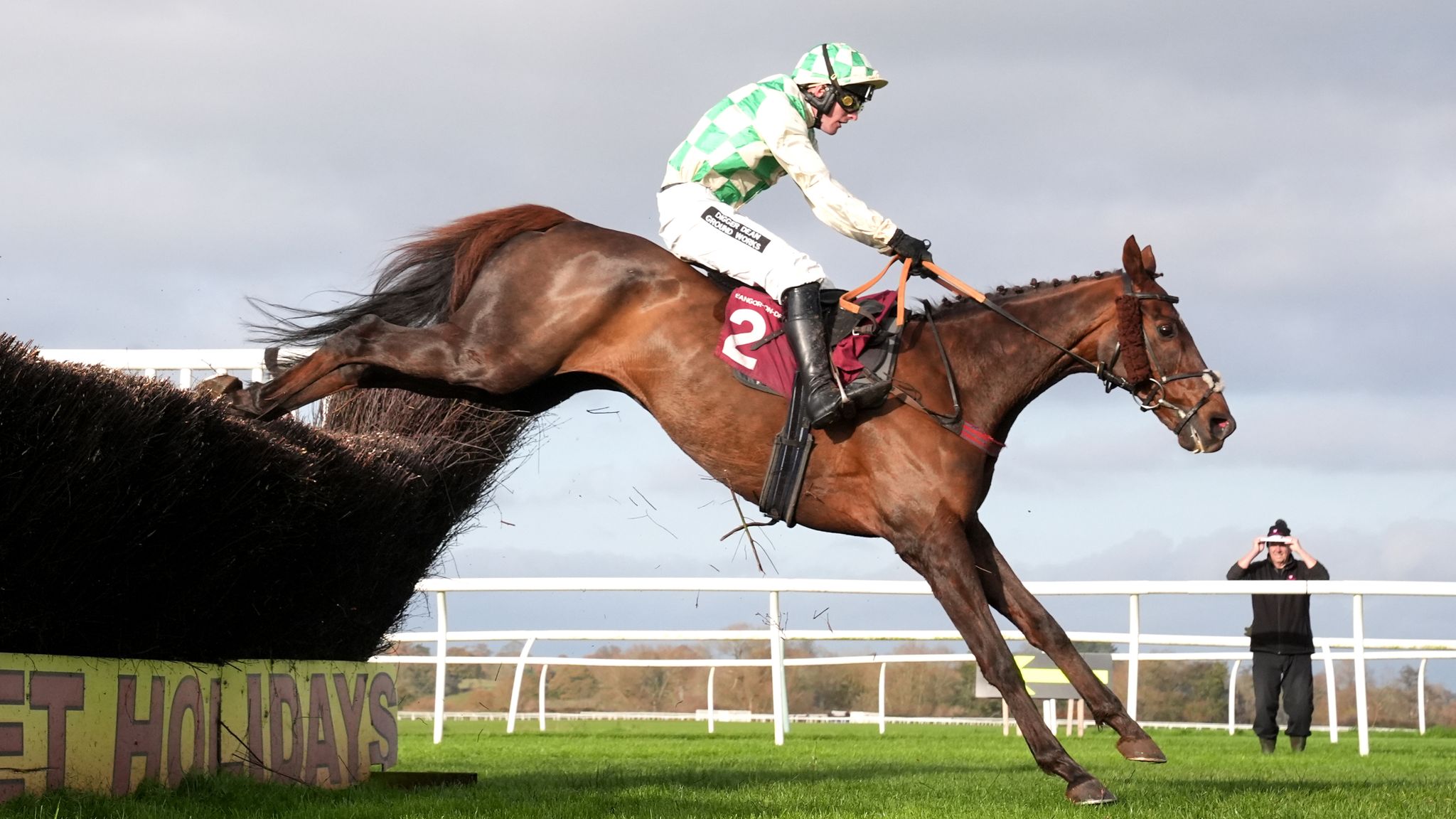 Race horse Celebre d'Allen dies after collapsing during Grand National ...