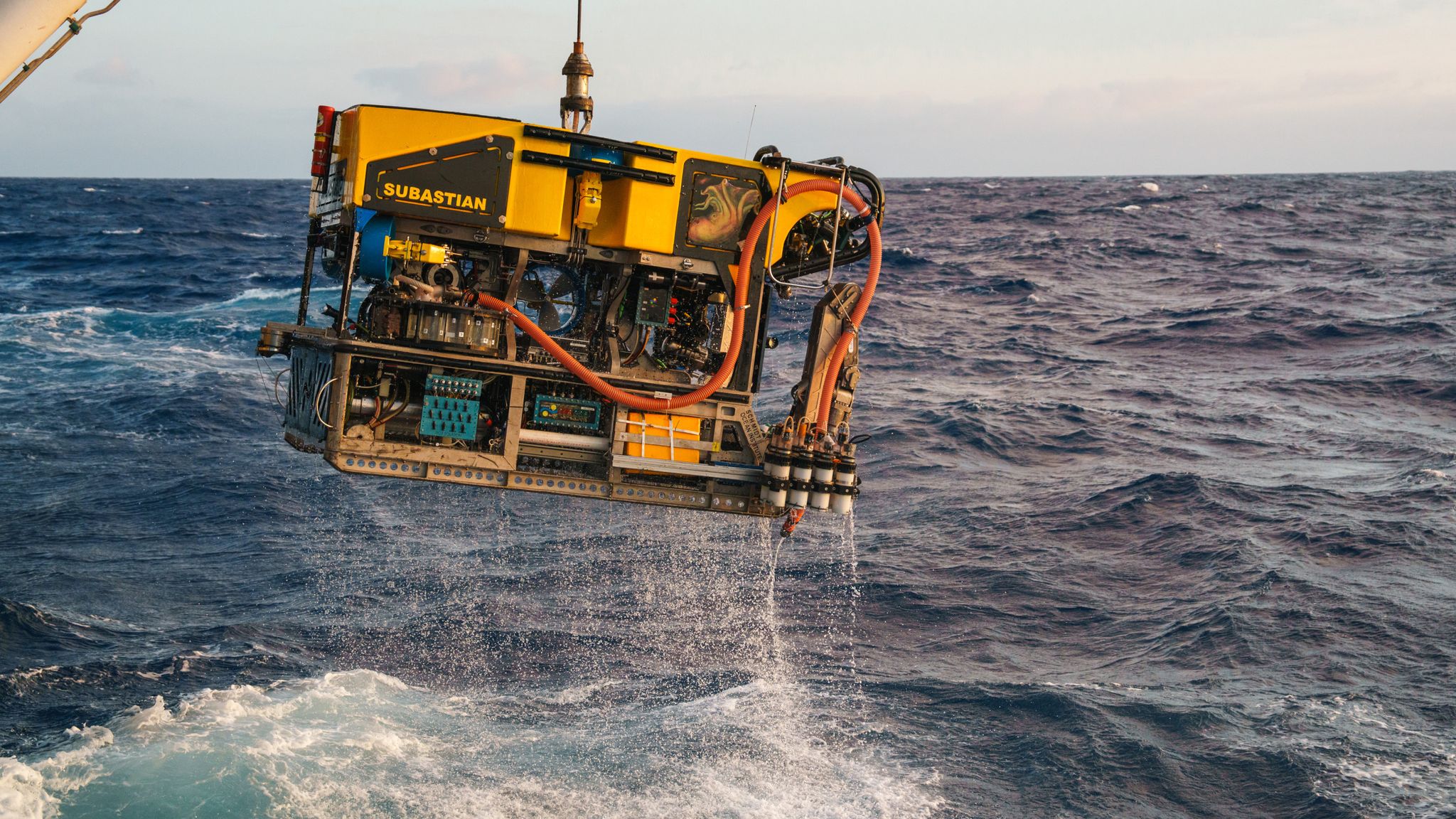 Colossal squid captured on film in its natural environment for first time ever | Science ...