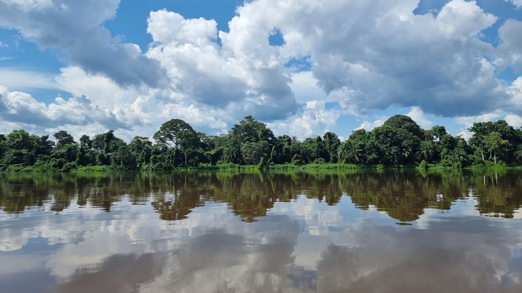 At least 148 people die after boat catches fire in Congo | World News ...