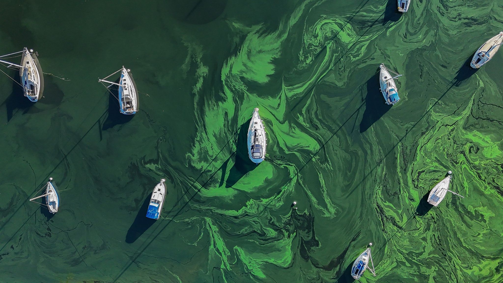 Campaigners say analysis shows illegal sewage spills in Lake Windermere ...