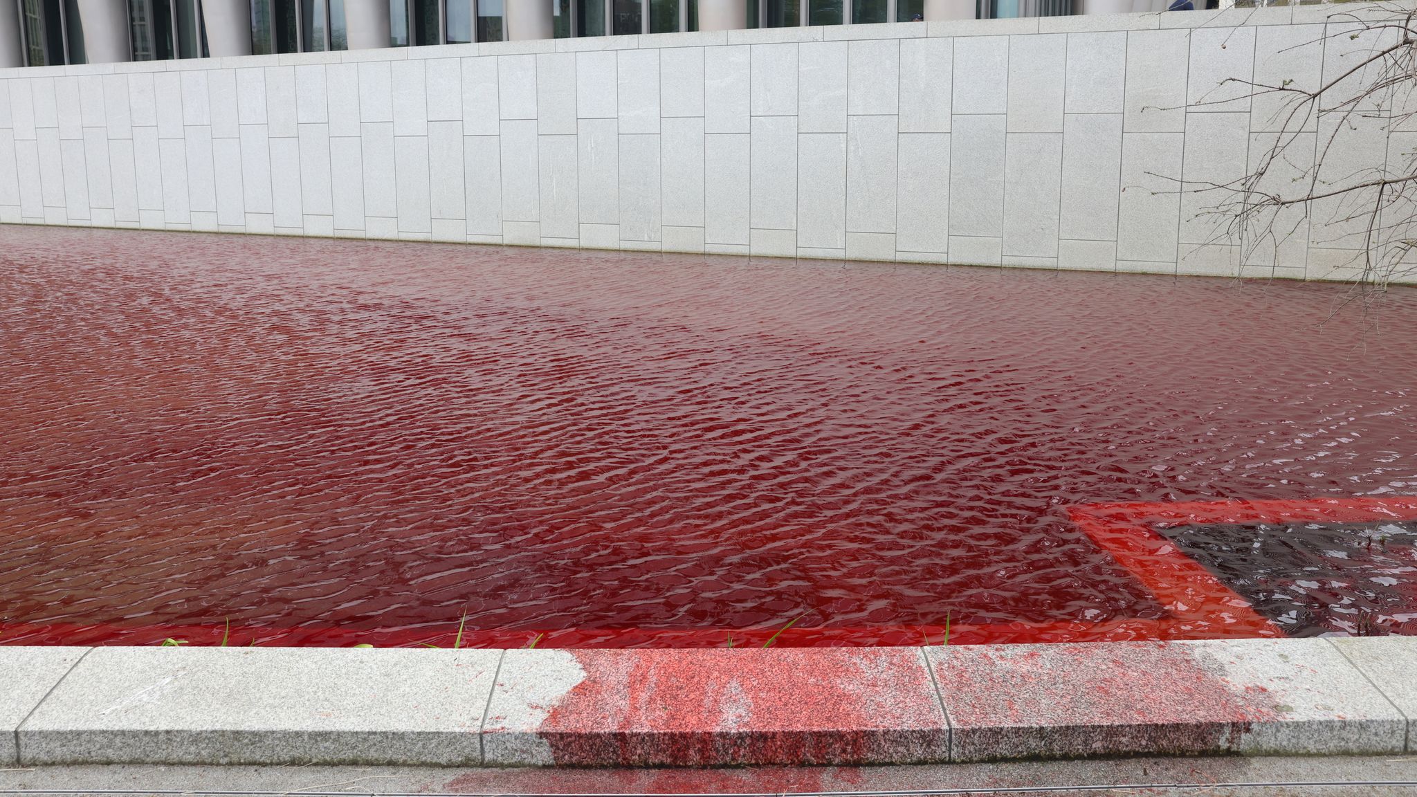 Arrests made after blood-red dye dumped into US embassy pond in Israel ...