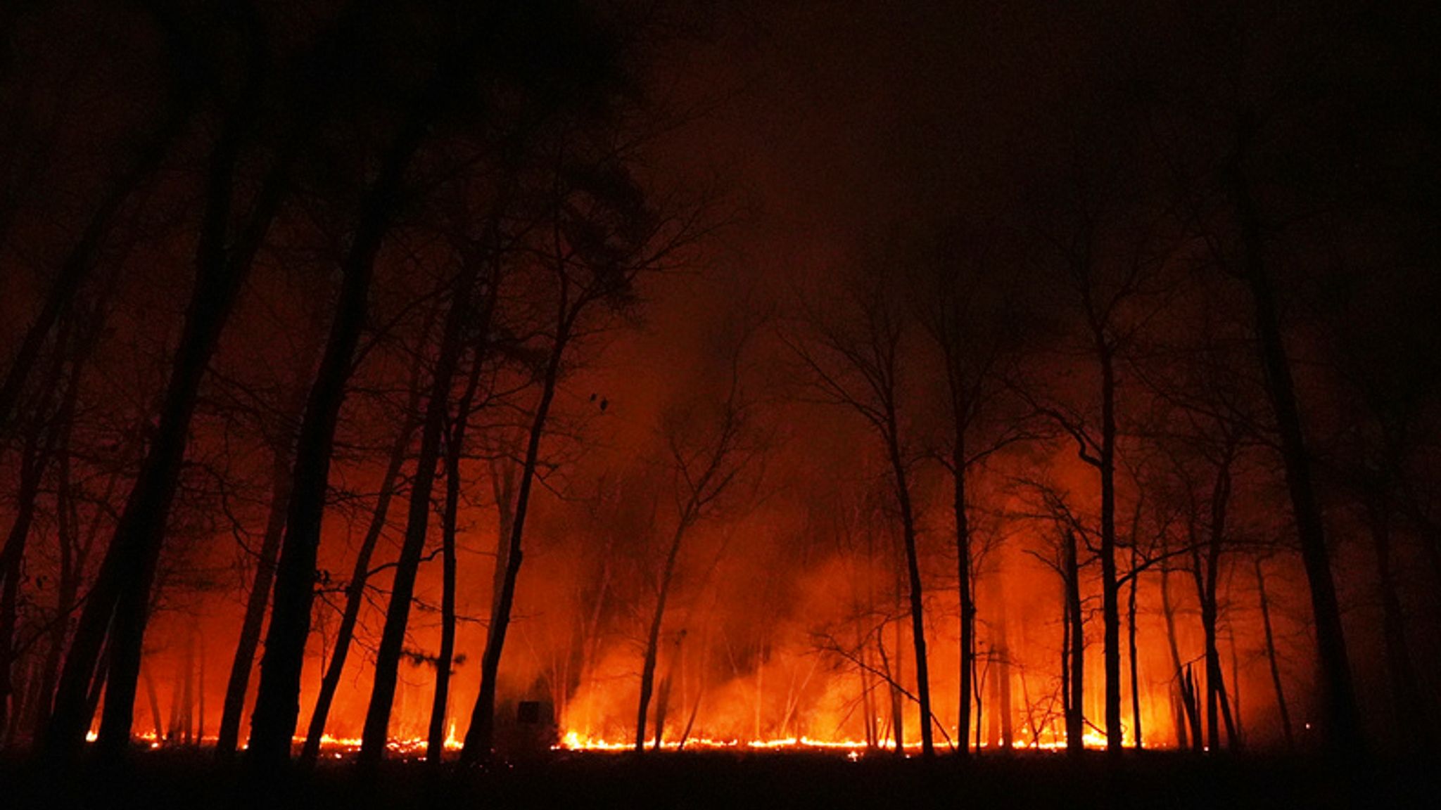 Thousands evacuated as wildfire sweeps through New Jersey | US News ...