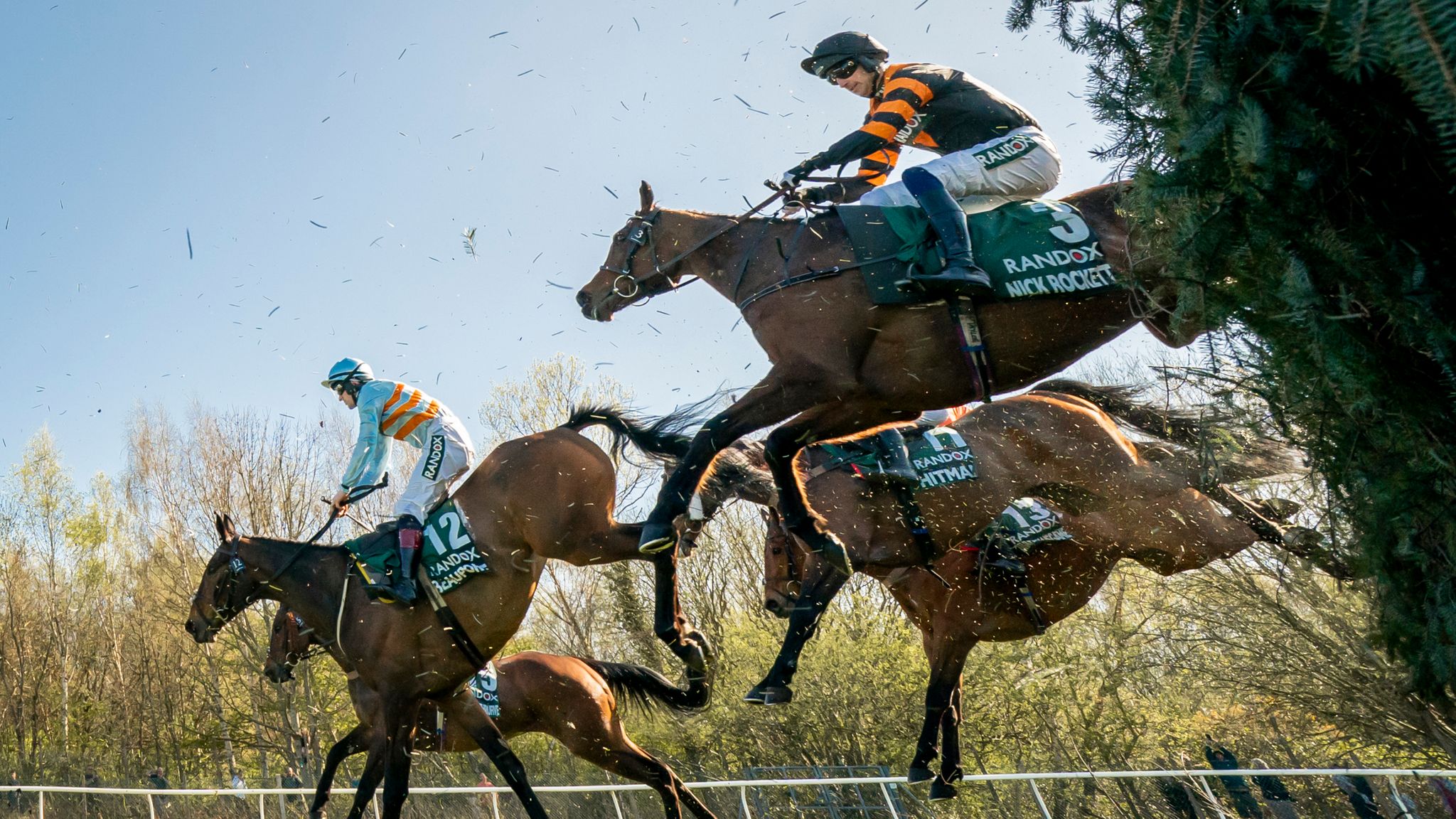 Grand National won by 33/1 shot Nick Rockett - horse ridden by trainer ...