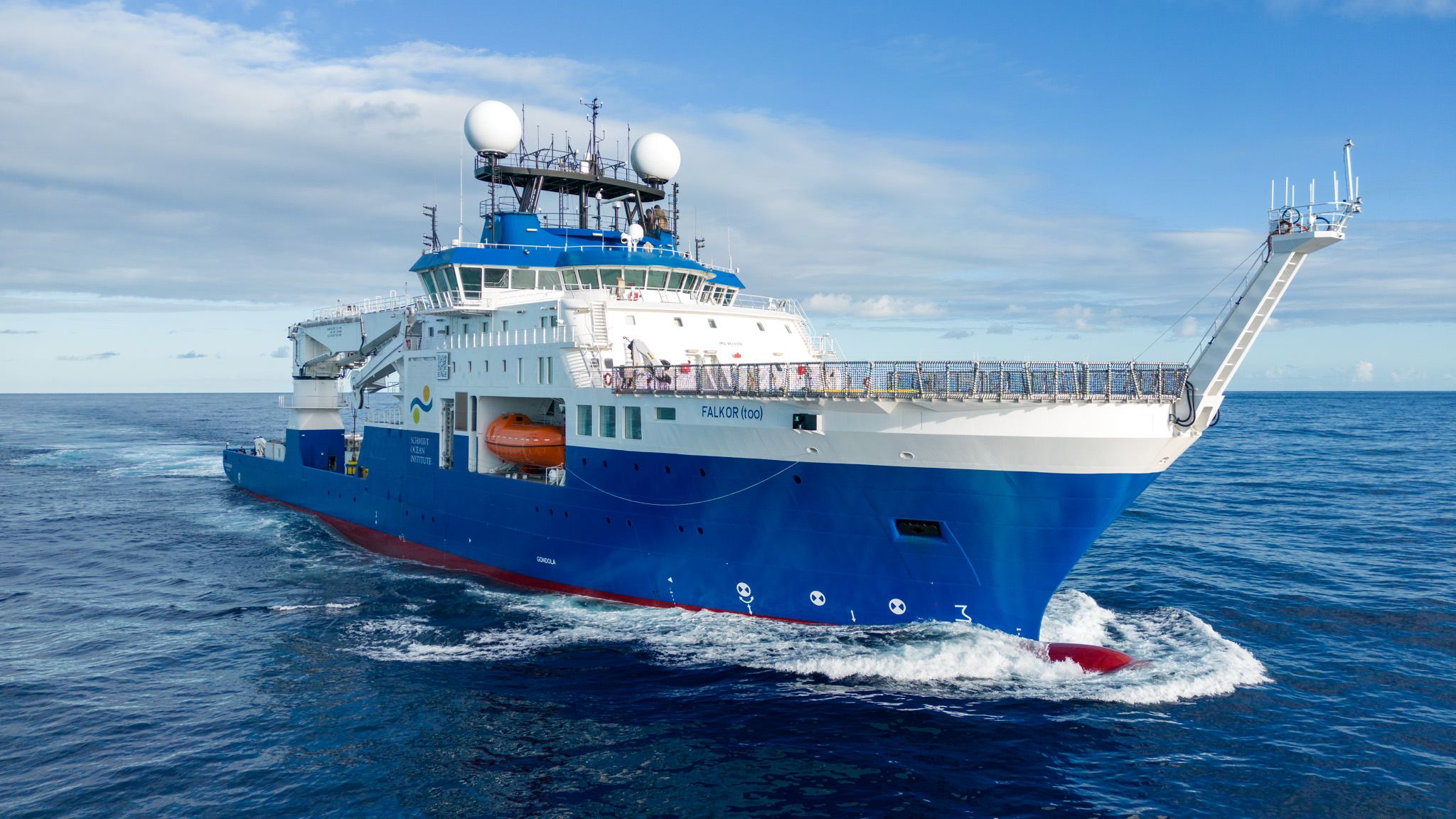 Colossal squid captured on movie in its pure setting for first time ever | Michigan Post