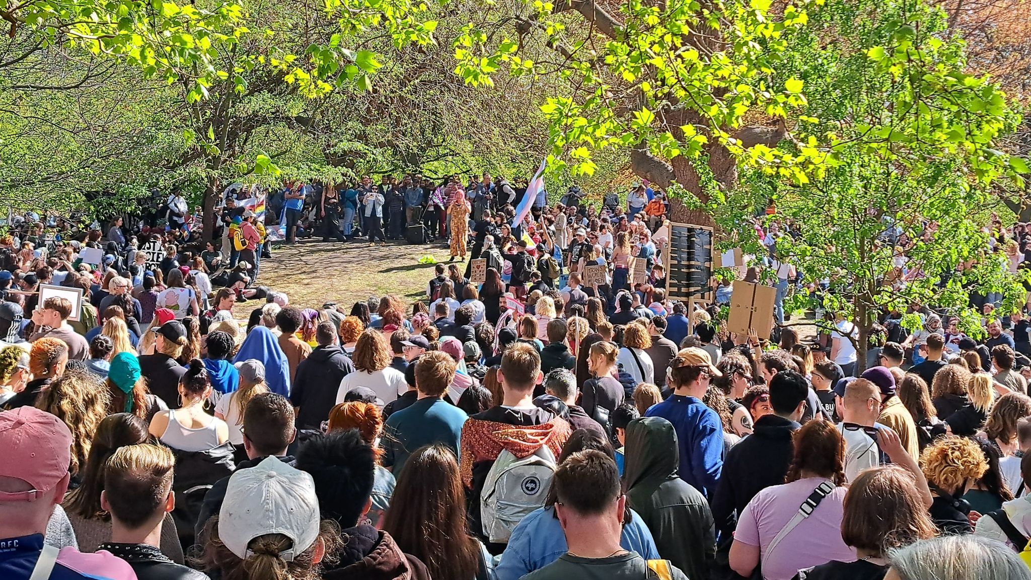 Police appeal over 'senseless' damage to seven statues during trans ...