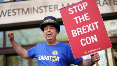 'Stop Brexit Man' cleared of flouting police ban with anti-Brexit edits ...