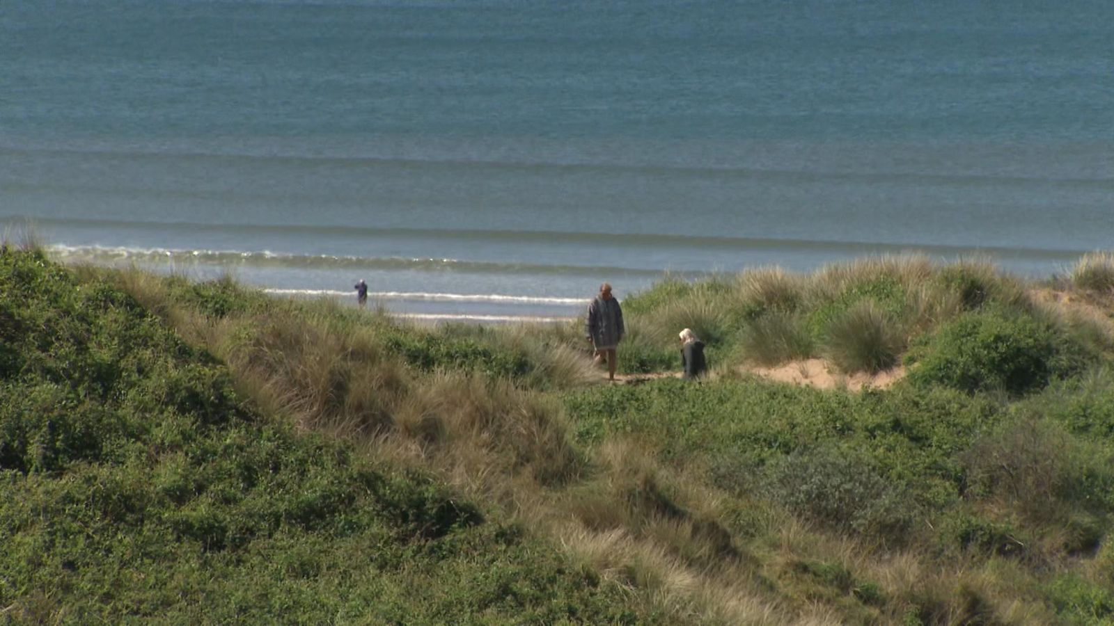 The communities fighting green energy infrastructure in Devon and Wales ...