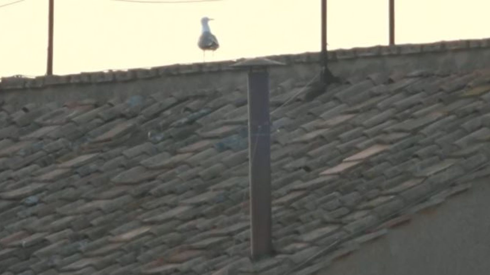 Black Smoke Signals Continued Search for Next Pope | VT News