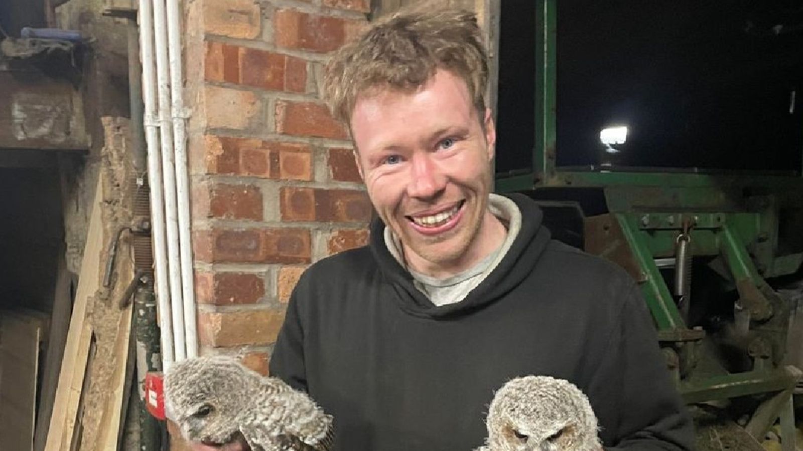 Sycamore Gap: Man says friend wanted to cut down world's 'most famous ...