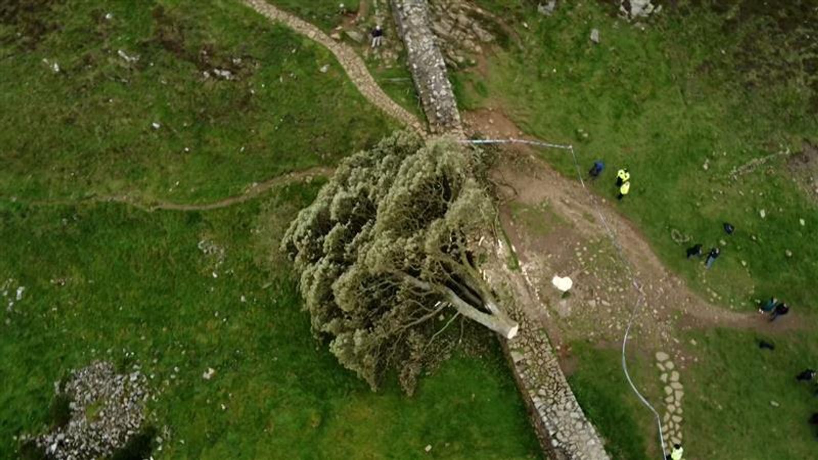 Men who chopped down Sycamore Gap tree jailed for over four years | UK ...