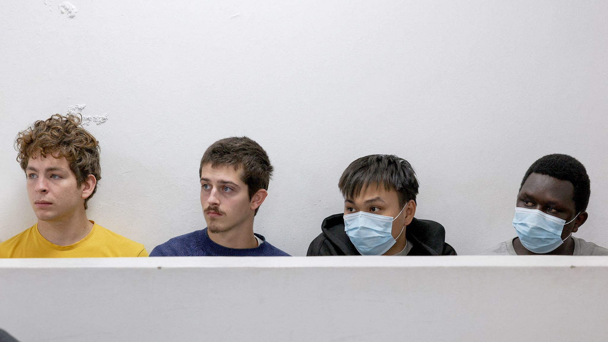 'Ant gang' sentenced for smuggling thousands of live insects in Kenya ...