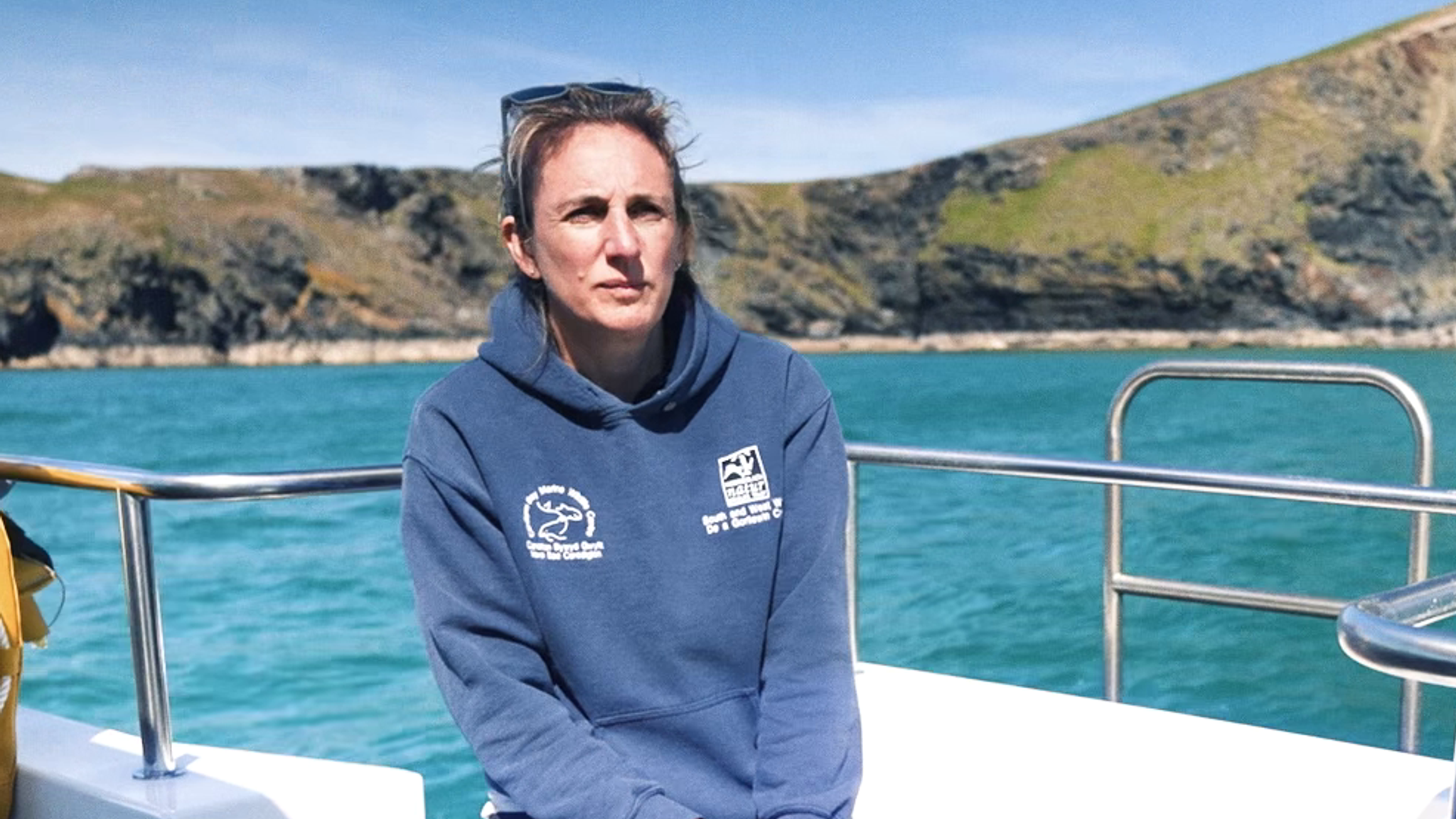 What do dolphins rise up to beneath the waves? Their poo has the ...