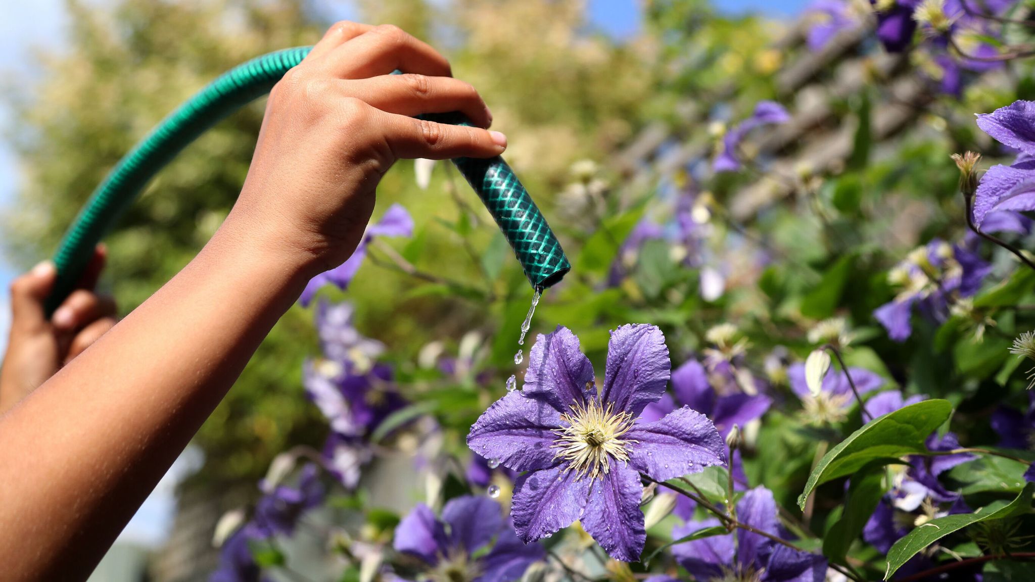 Ladypaysofficial nude leaks her personality is fantastic,