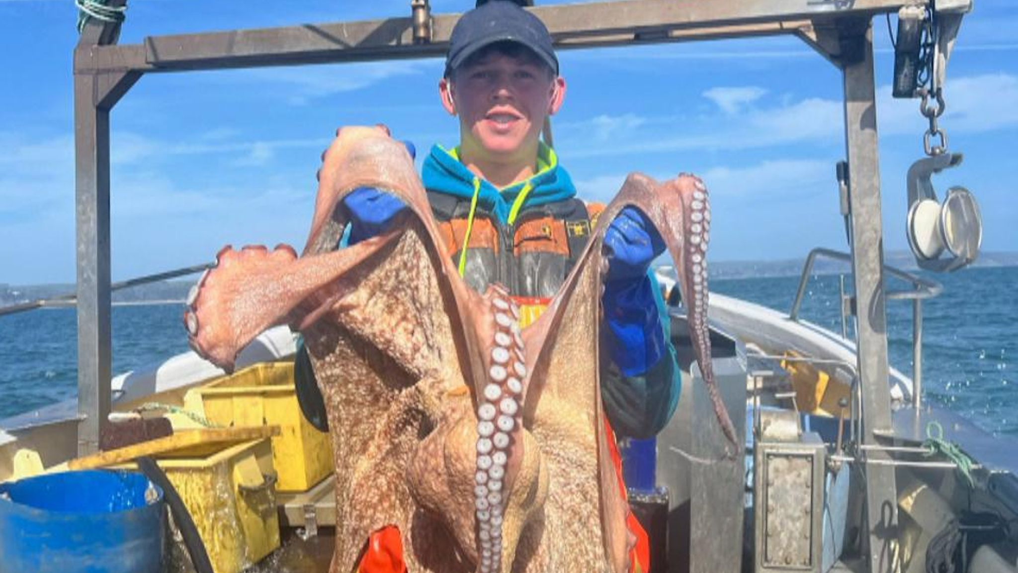 Boom or bust for fishing industry as octopuses swarm in UK waters? | Science, Climate & Tech ...