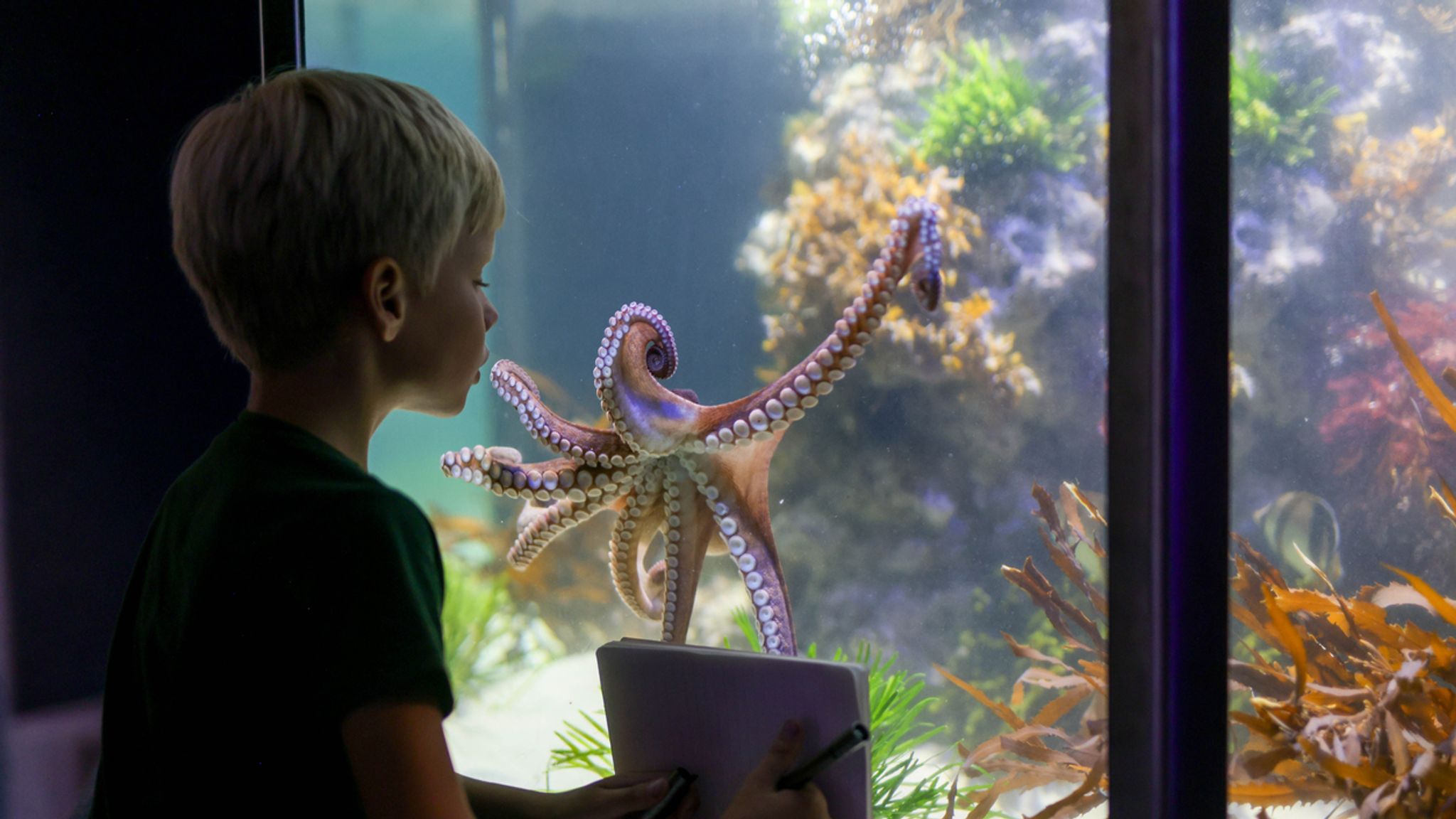 Zoo animals to get more space in 'long-overdue' welfare changes | UK ...