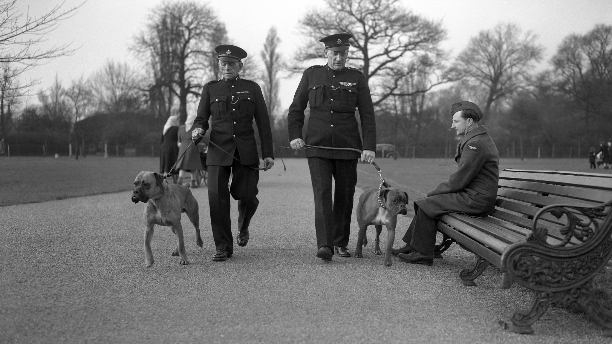 Rise in crime 'almost inevitable' as Royal Parks police disbanded after ...