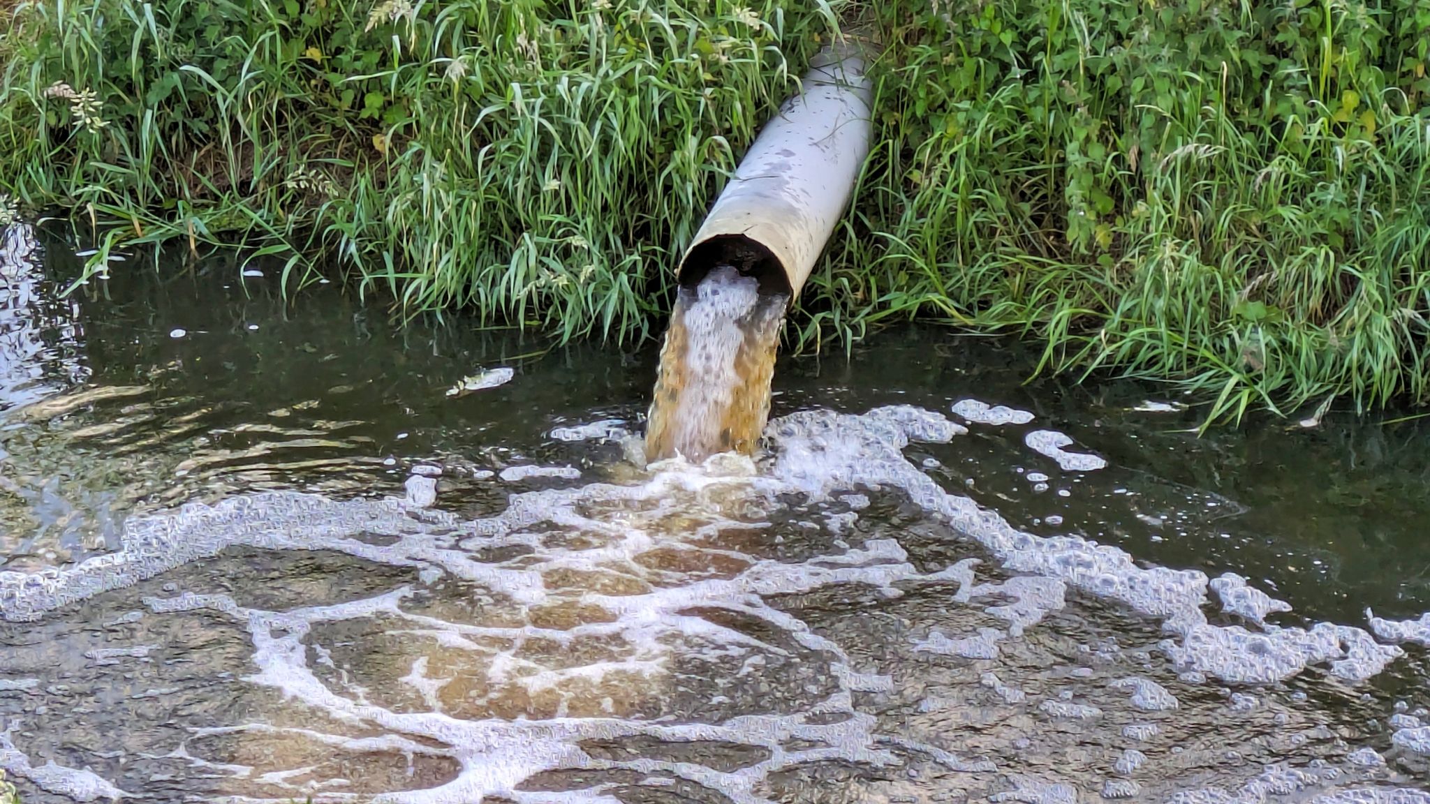 Serious water pollution incidents in England up 60% last year - with ...