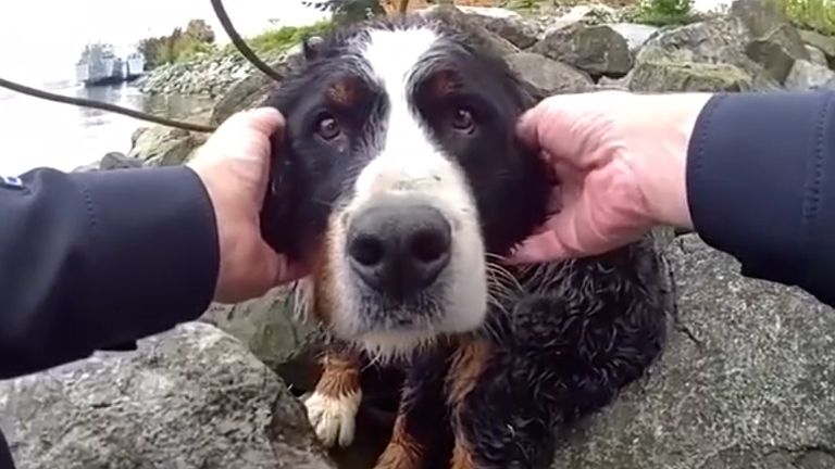 Freediver breaks world record after plunging under frozen lake in ...