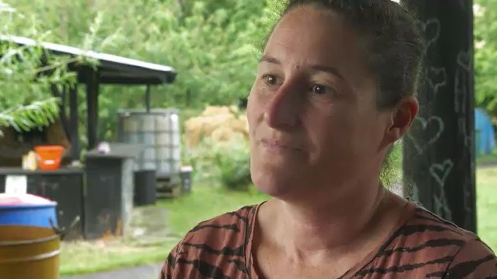 'I don't think Britain's working well': Mum pays £250 for son's tooth ...