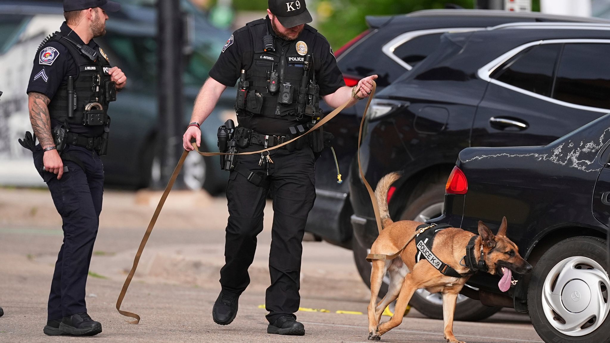 Eight injured in petrol bomb and 'flamethrower' attack at rally for ...