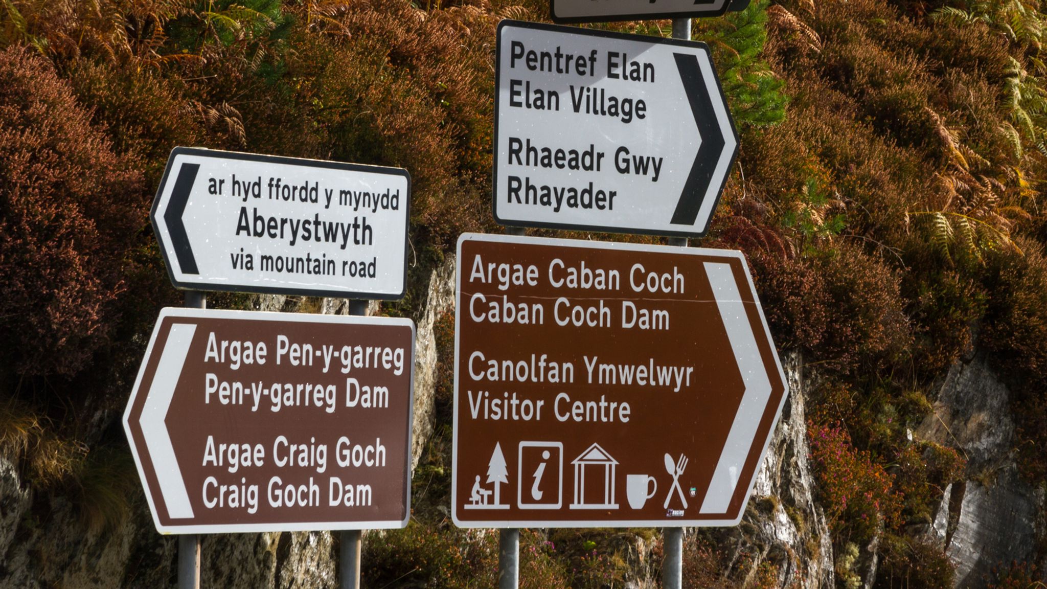 Target to reach one million Welsh speakers by 2050 has been set - but ...