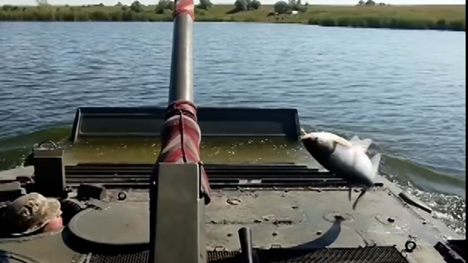 Moment fish jumps into Ukrainian army vehicle | News UK Video News ...
