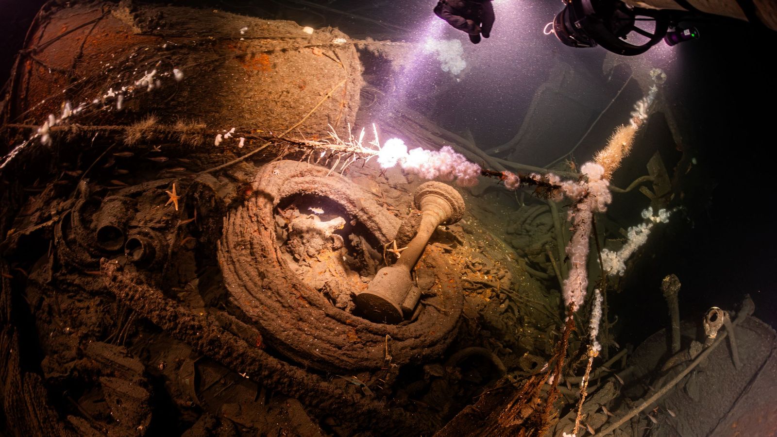 Divers discover Royal Navy warship HMS Nottingham 110 years after it ...