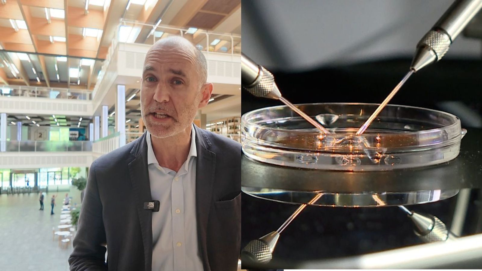 Pioneering three-person IVF technique sees eight babies born | Science ...