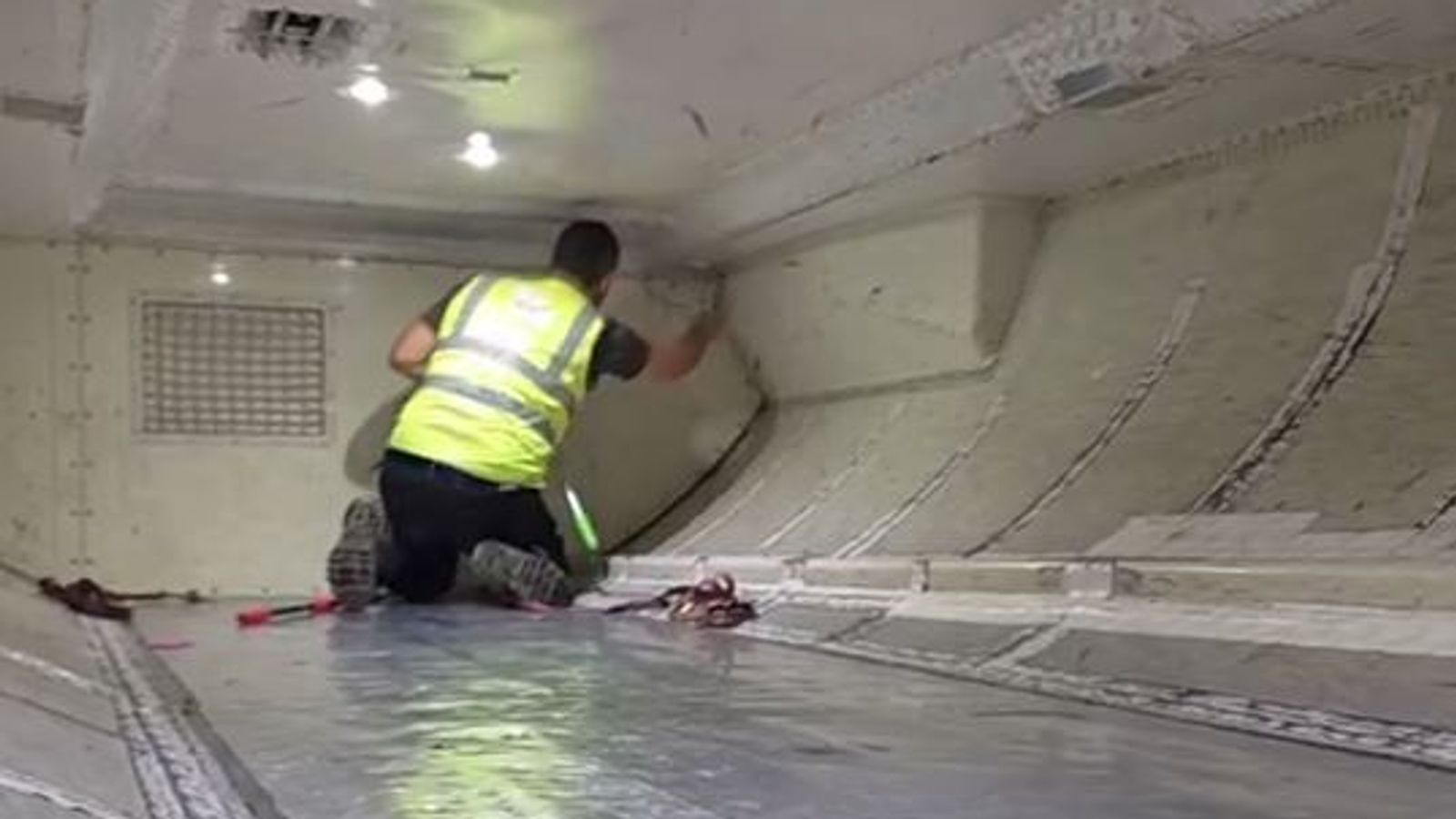 Snake captured on passenger plane - as expert reveals how it got there ...