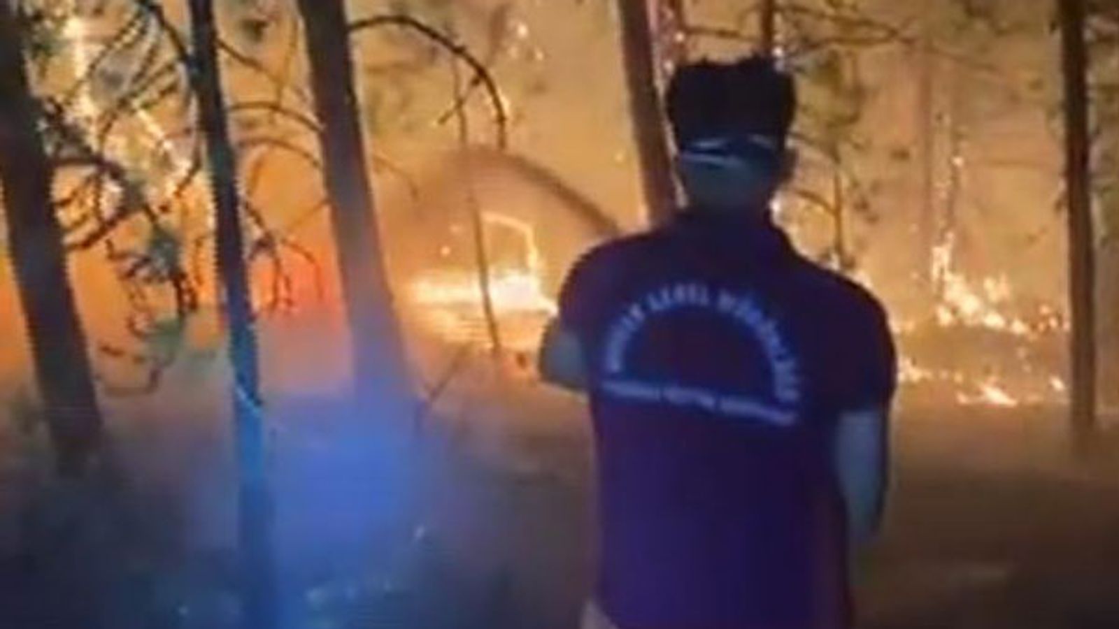 Firefighters tackle blazes as wildfires break out in Greece, Turkey and ...