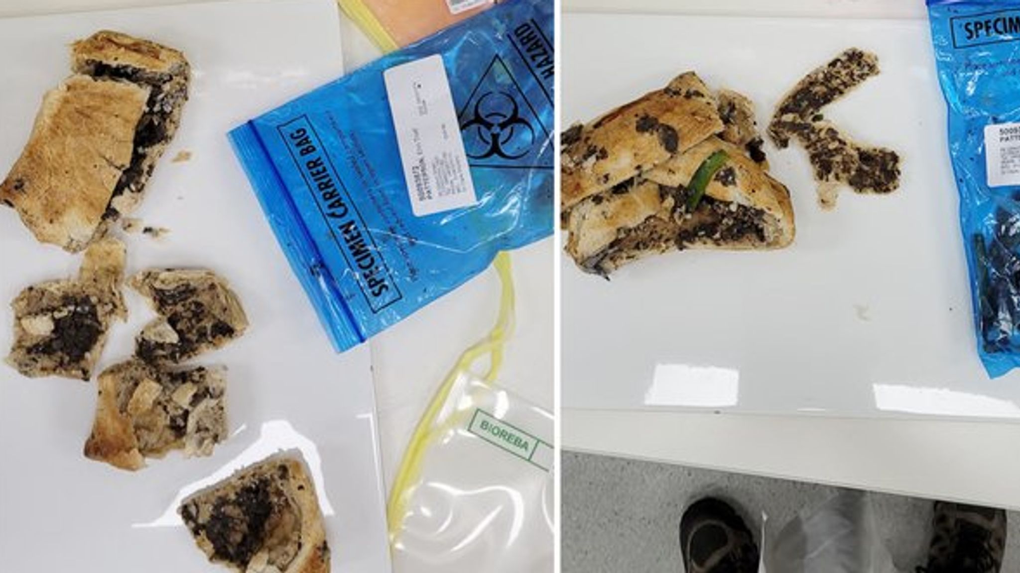 Death cap mushroom trial: How murder plot unfolded - and how killer ...