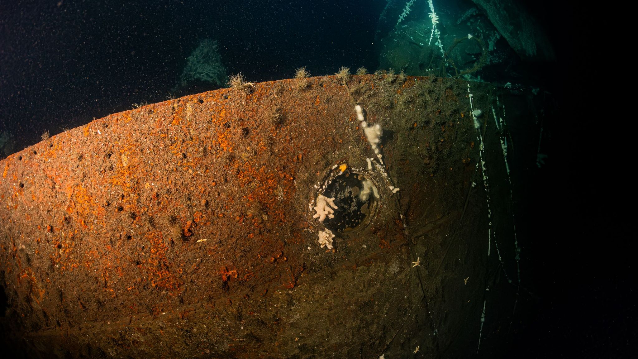 Divers discover Royal Navy warship HMS Nottingham 110 years after it ...
