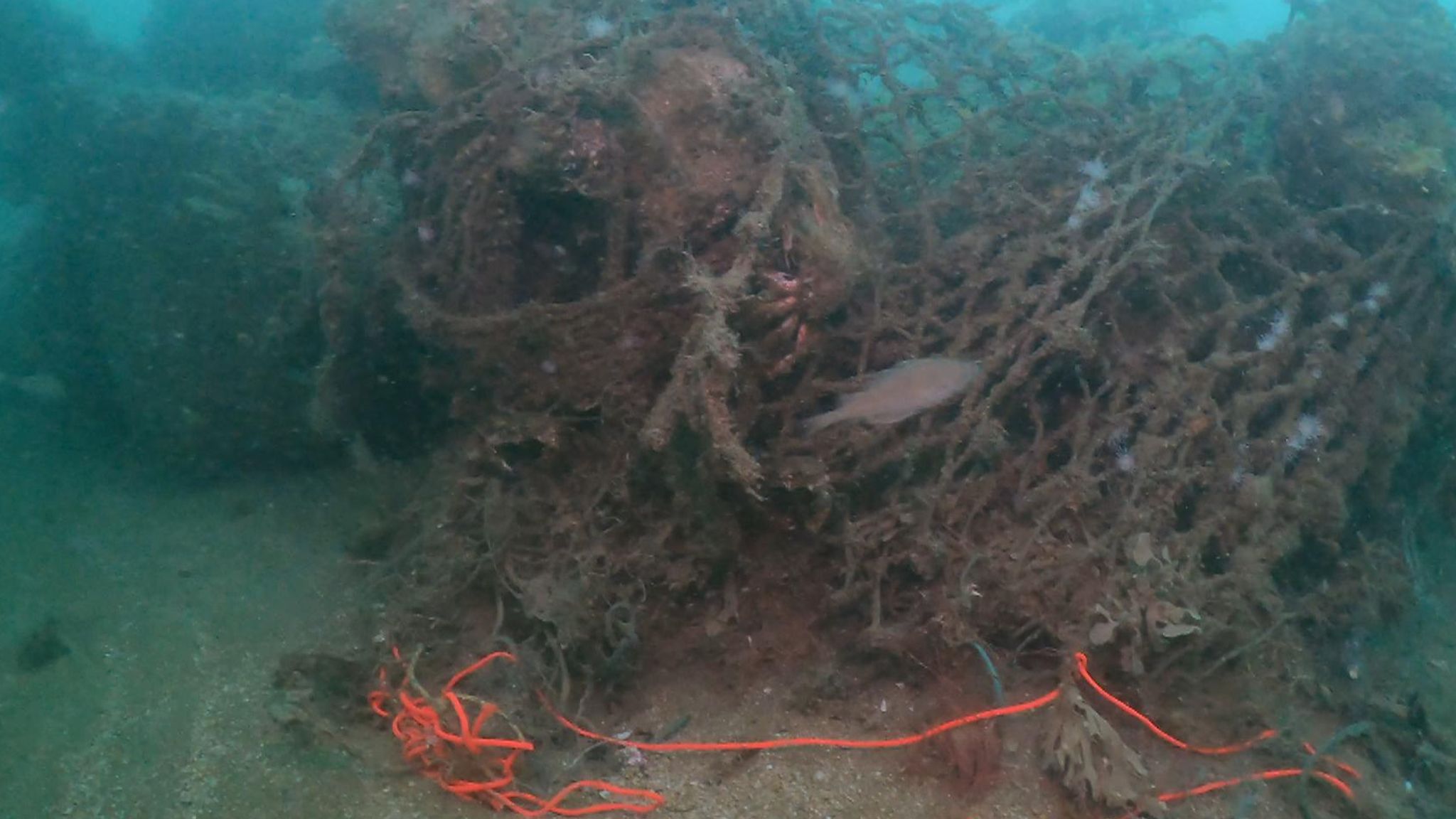 HMS Northumberland: Experts face 'race against time' to study shipwreck ...