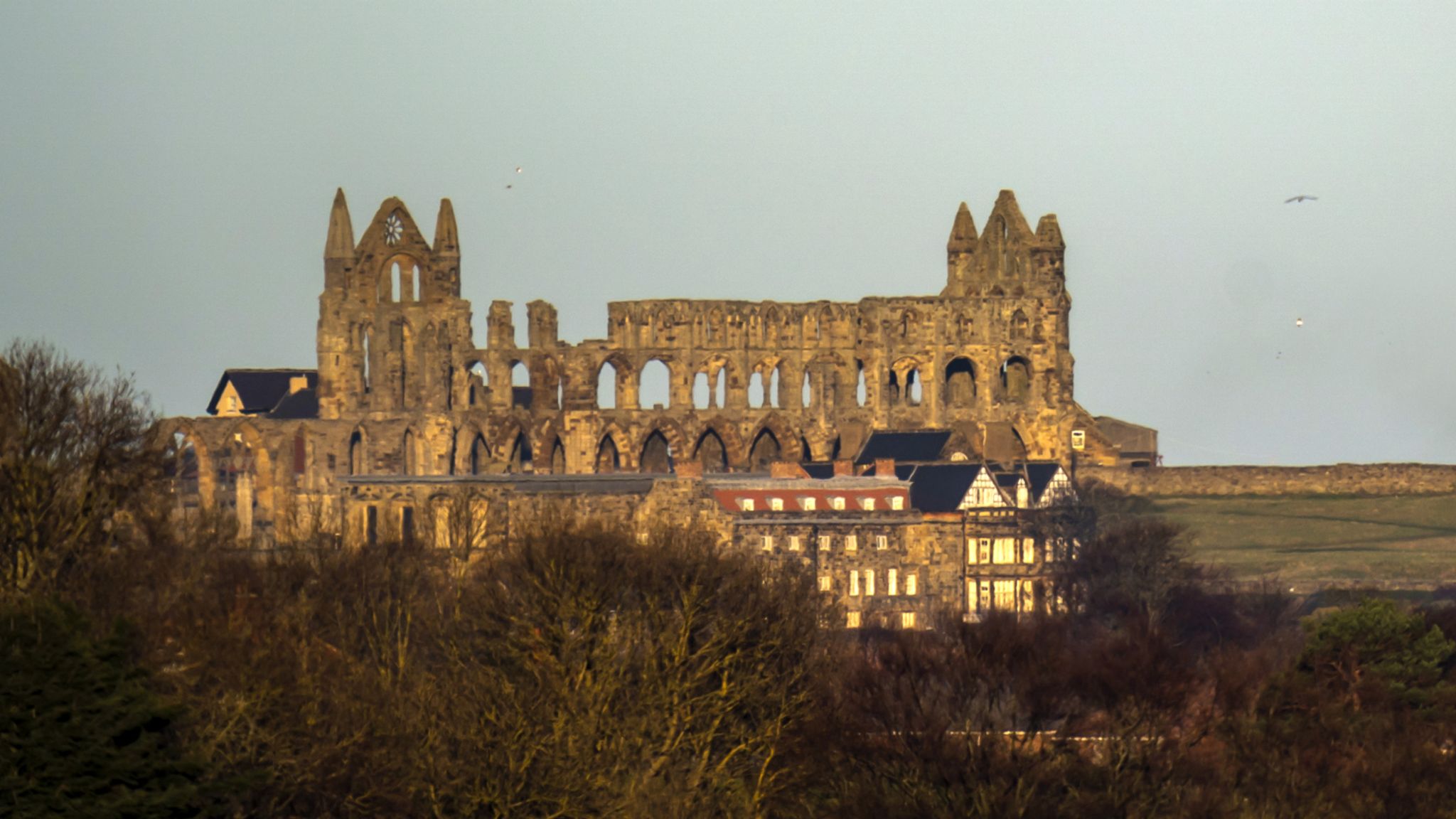Bodies of man and woman recovered from beneath cliff at Whitby Abbey ...