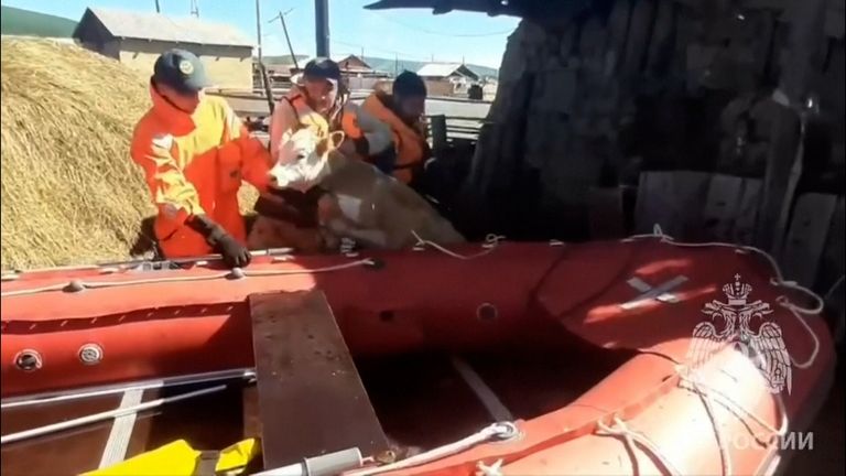 Japan rocked by strong earthquake as tsunami alert issued | World News ...