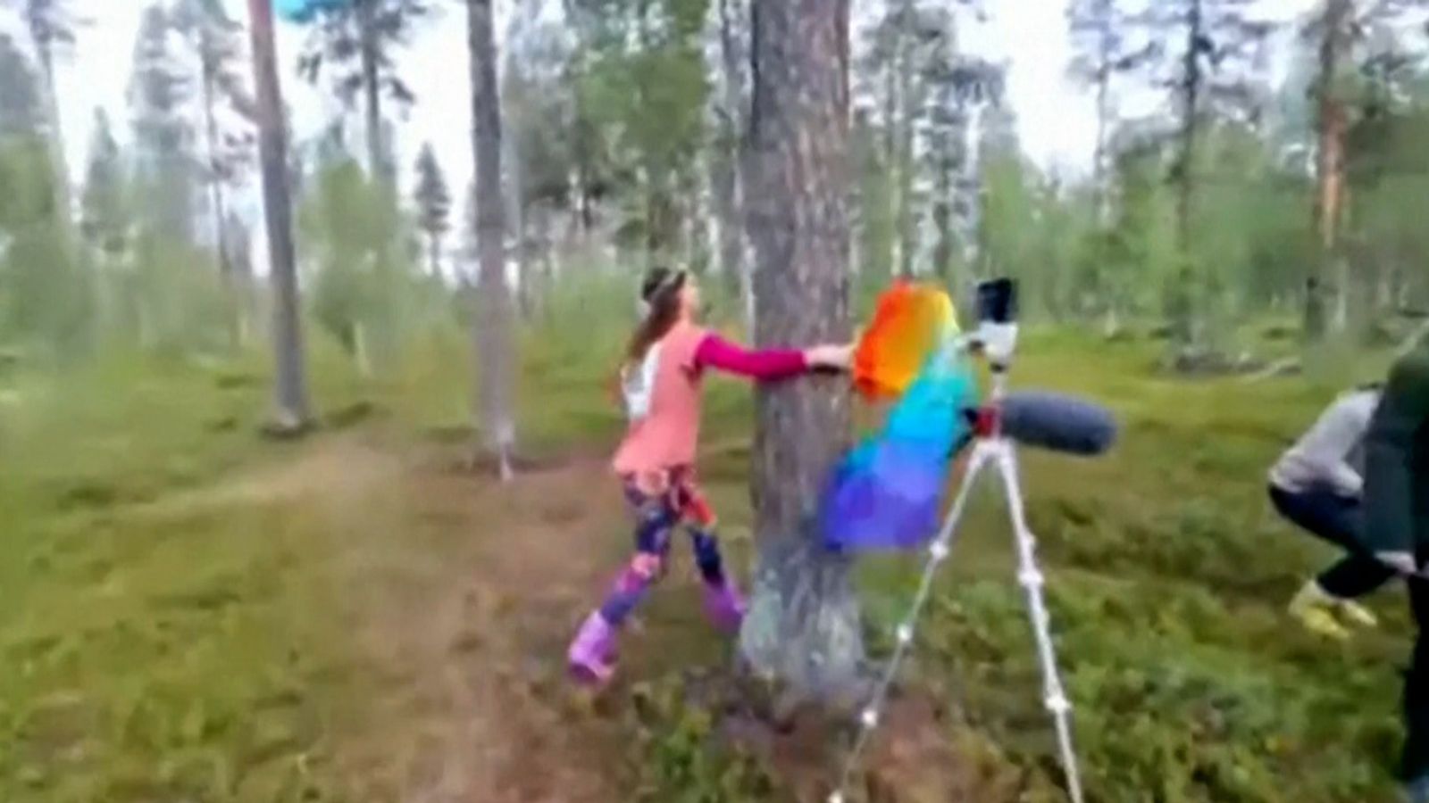 Would you win the tree-hugging world championship? | World News | Sky News
