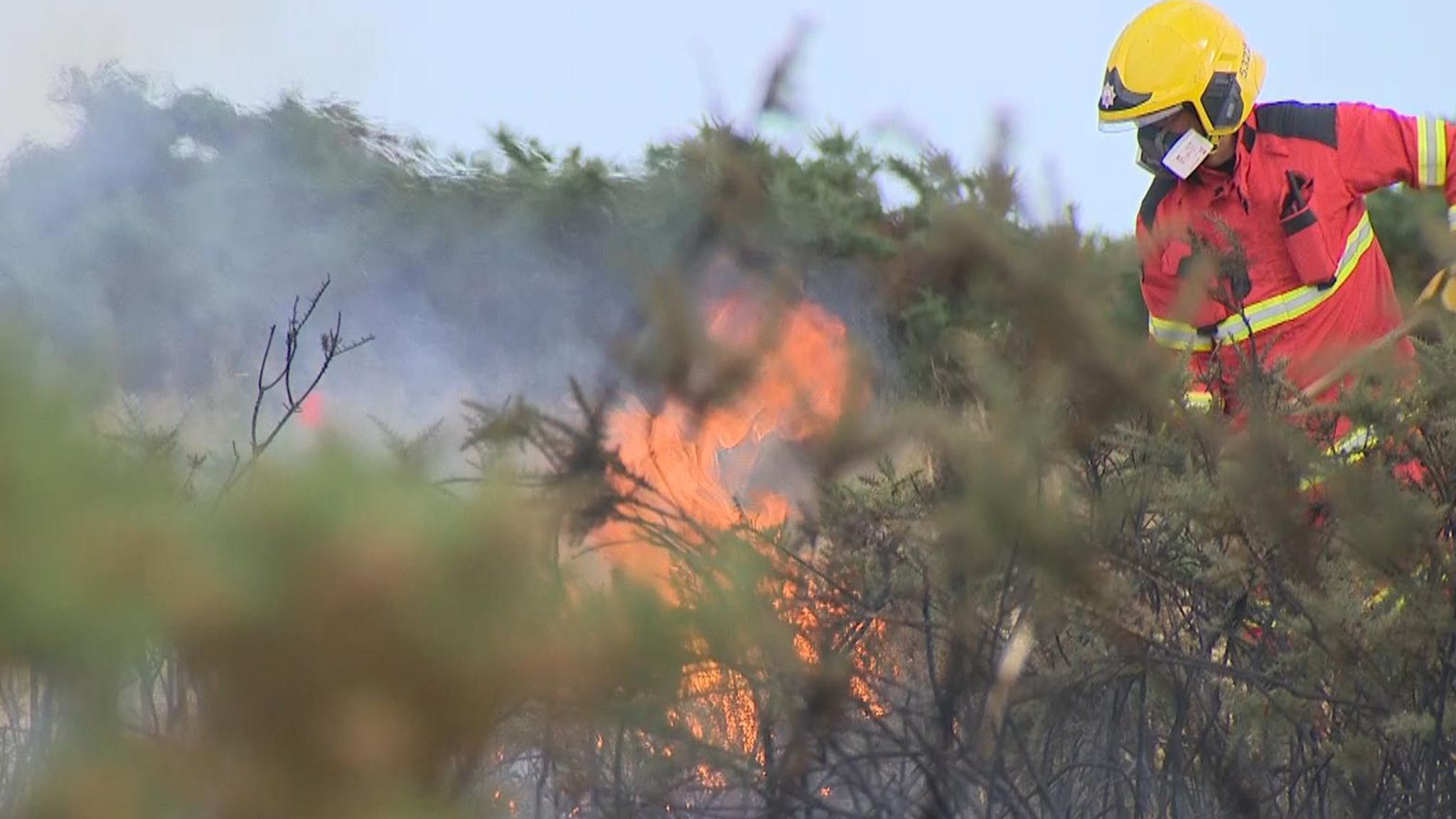 Major incident declared as crews battle Holt Heath fire near Wimborne ...