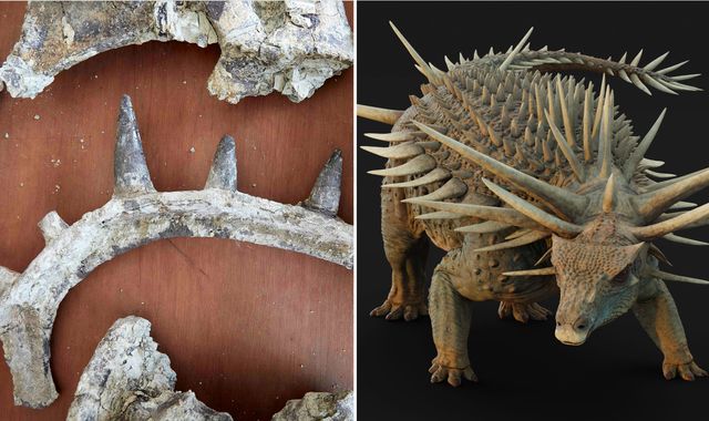 News | Latest breaking news and top headlines | Heart