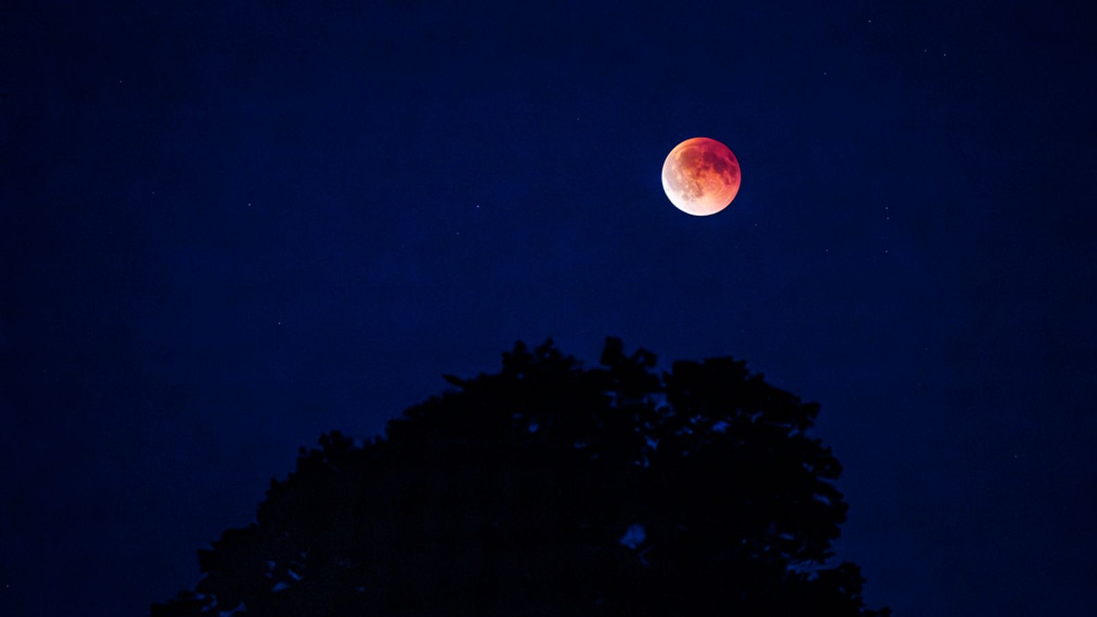 'Blood moon' captured in photos across the world | World News | Sky News