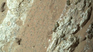 'Leopard spots' found on rock on Mars are clearest sign life once ...