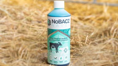 Cambridge animal woundcare spinout NoBACZ lands £5m injection | Money ...