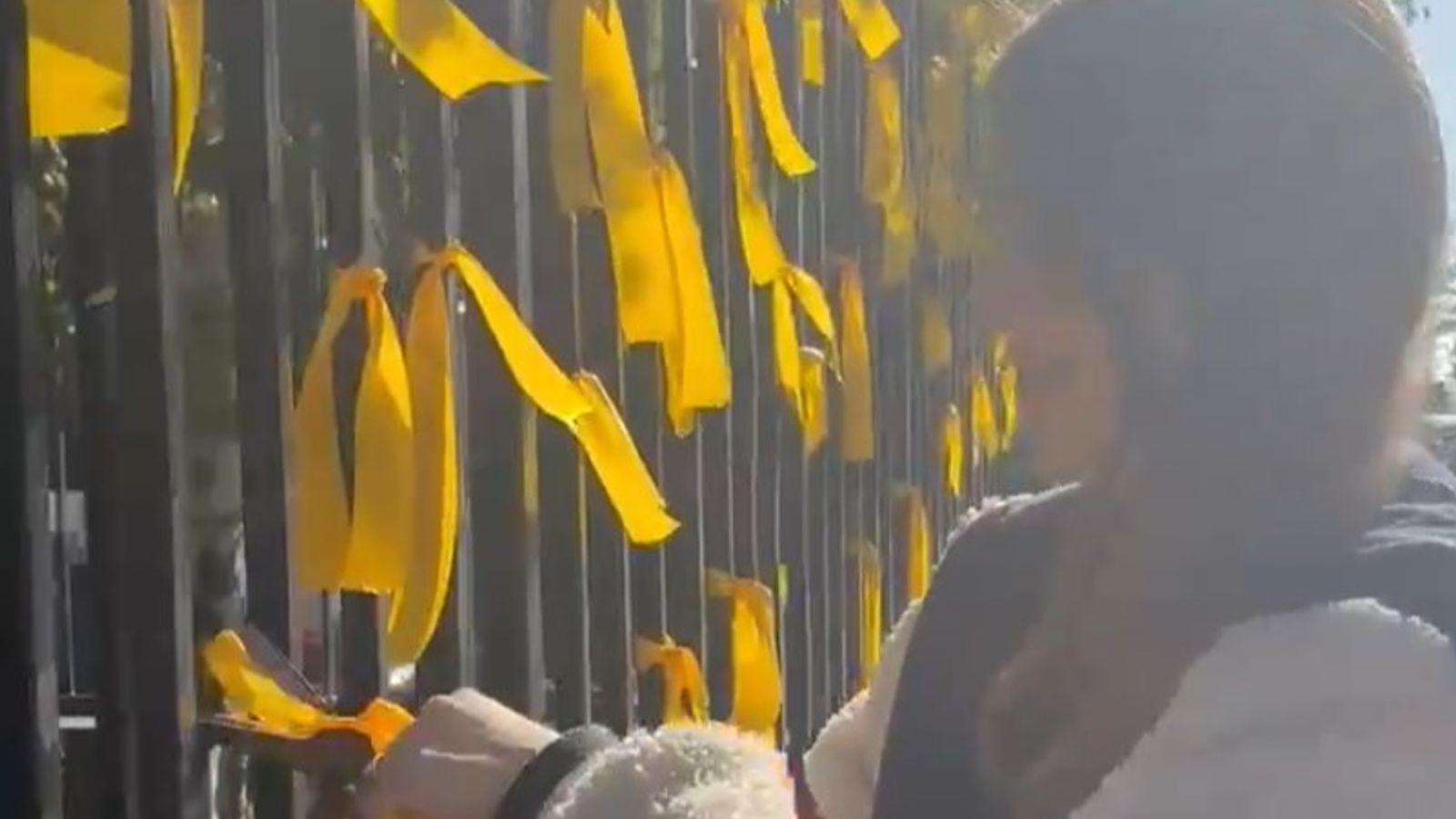 Woman filmed cutting commemorative yellow ribbons for Israeli hostages ...