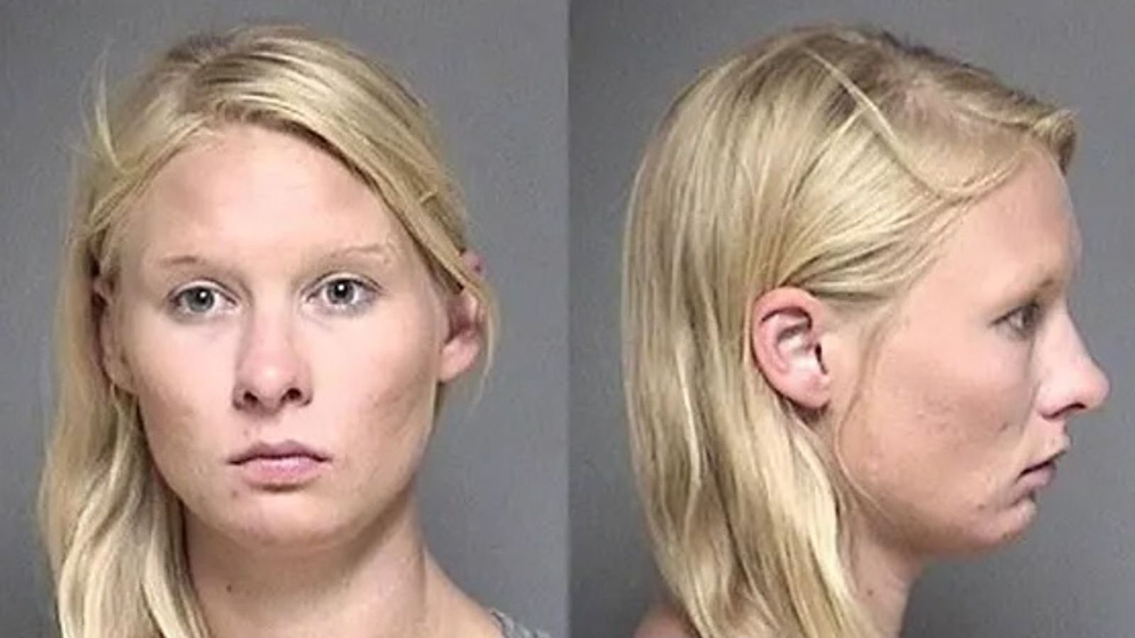Twin who allegedly urged sister to take fall for deadly Amish buggy ...